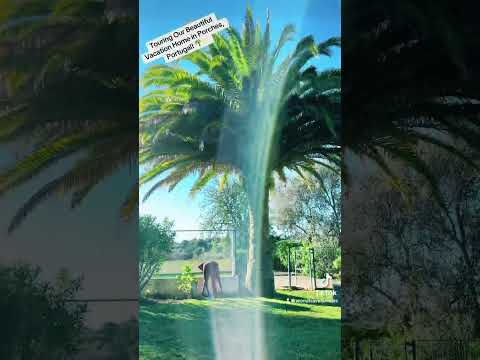 🌴Exploring Our Stunning Getaway in Porches, Portugal - A Dream Vacation Spot!