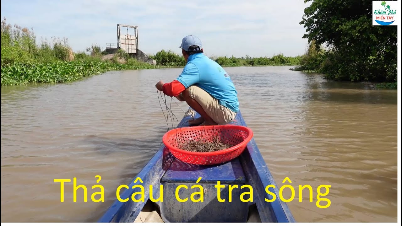 926 | Giăng câu cá tra và thăm lờ | Fishing - YouTube