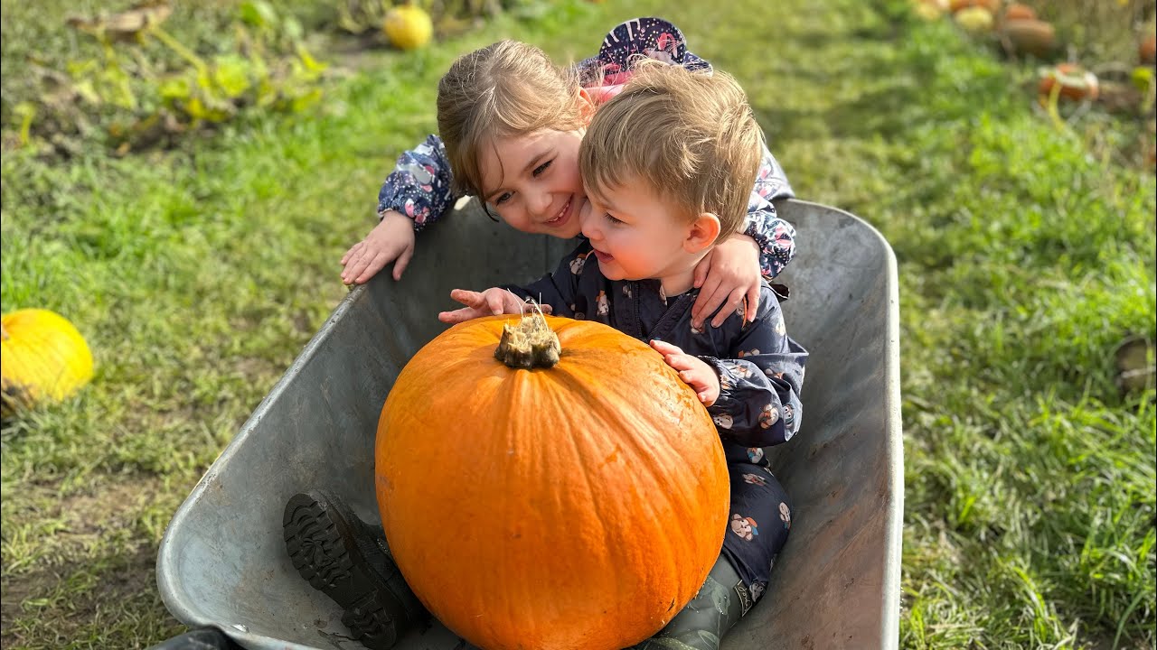 Pumpkin Picking @ Dunham Ice Cream Farm October 2024 - YouTube