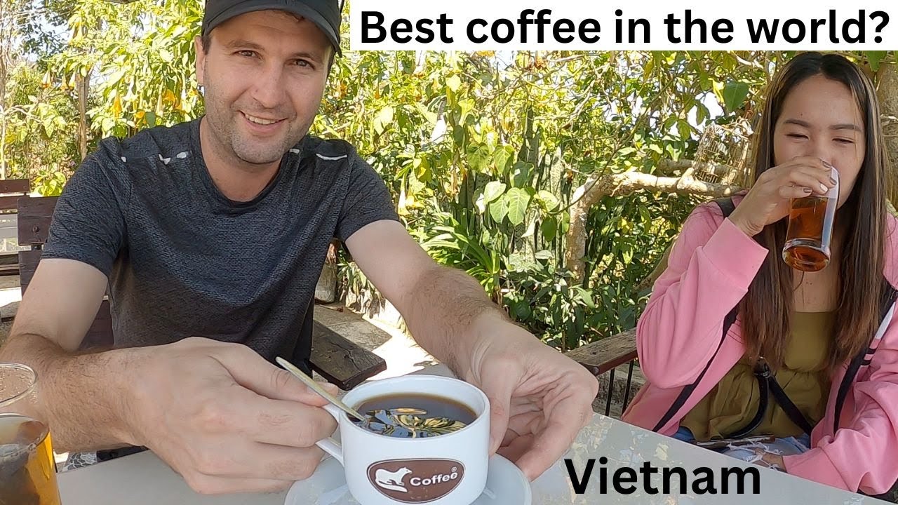 Weasel coffee farm (Civet / Kopi Luwak) in Dalat + Tasting best Aussie ...