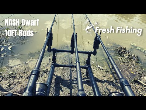 Nash Dwarf Rods - Tackle Review - YouTube