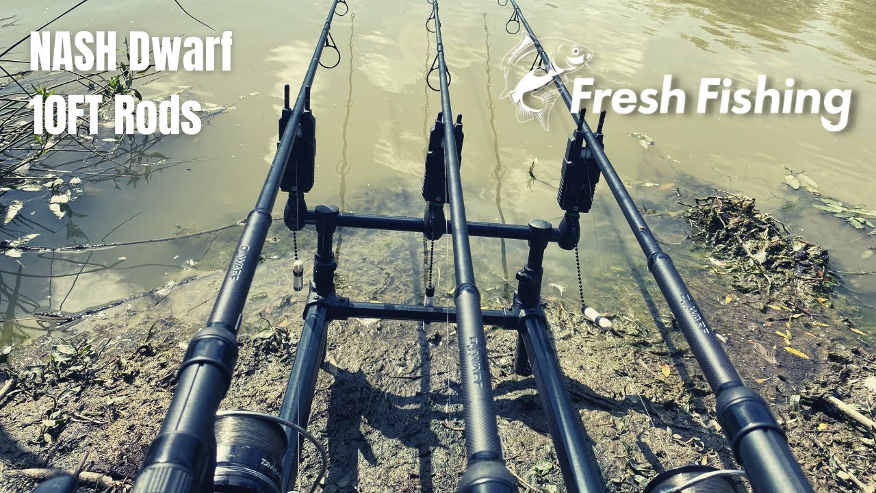 Nash Dwarf Rods - Tackle Review - YouTube