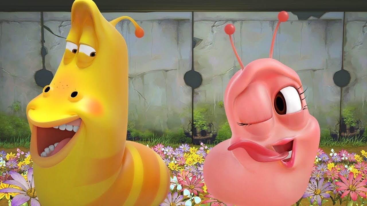 LARVA - Rosa kärlek | Tecknad film | Tecknade barn för barn ...
