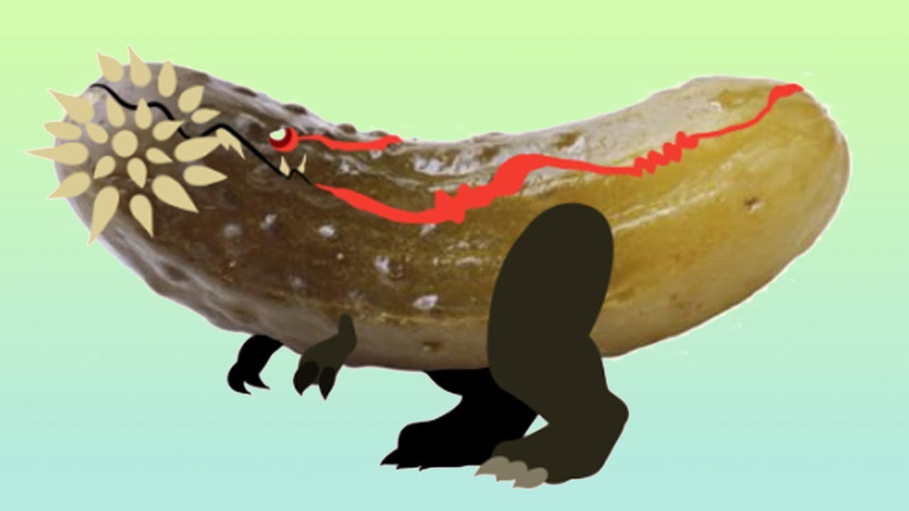 [Monster Hunter World] That's one angry pickle! - YouTube