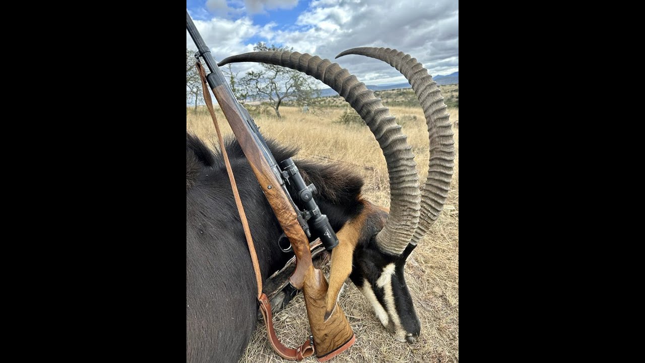 Cinder & Smoke South Africa 2023 - YouTube