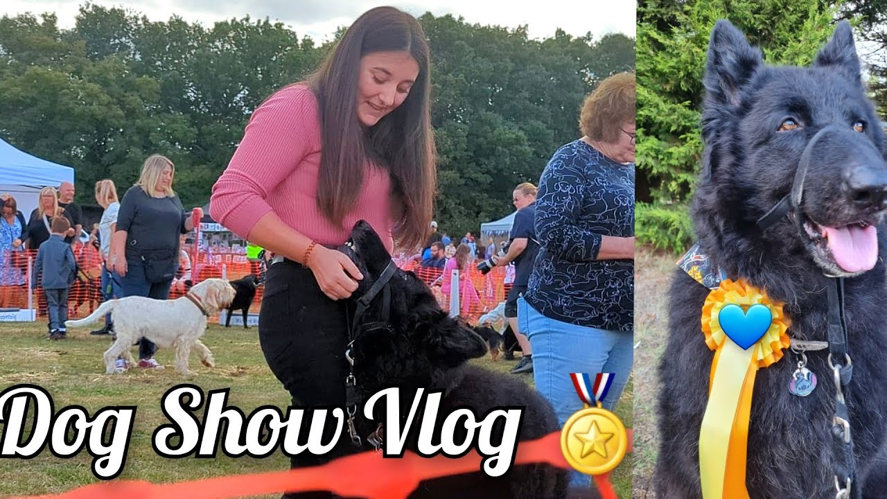We entered in a Dog Show! 🏅 Vlog | German Shepherd - YouTube