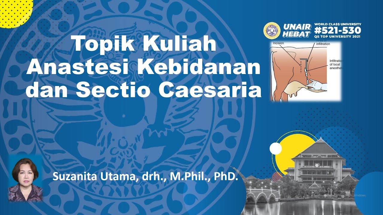 Anastesi Sapi dan Sectio Caesaria - YouTube