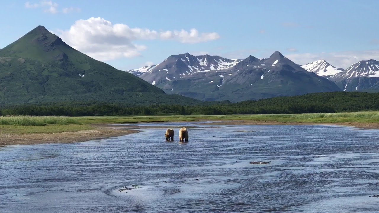 Bear Viewing at Hallo Bay, Alaska in Katmai National Park - YouTube