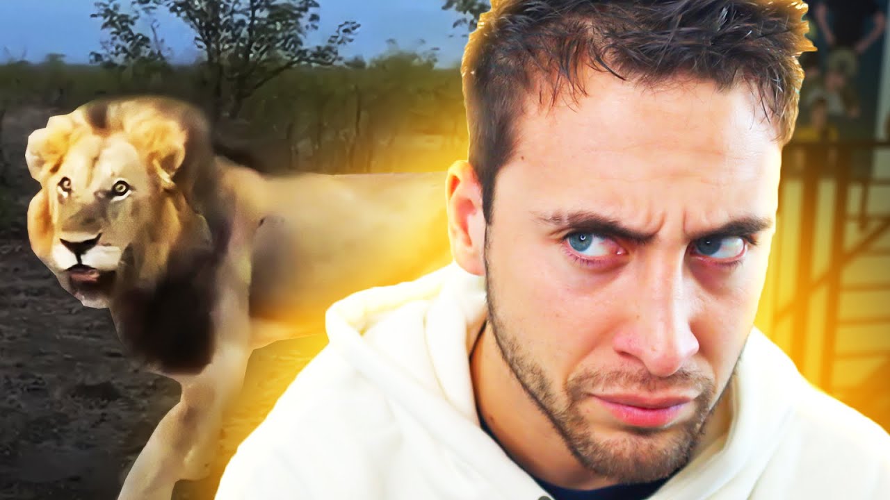 PEOPLE VS ANIMAL FAILS!! - YouTube