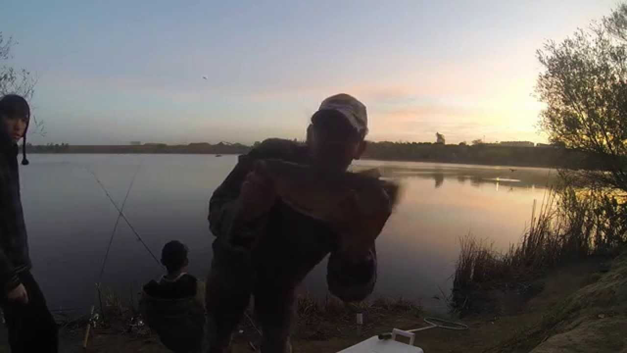 Shadow Cliffs Trout Fishing Fast Bites - YouTube