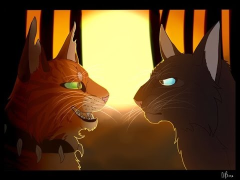 КОТЫ ВОИТЕЛИ КЛИП ДЕНЬ НОЧЬ