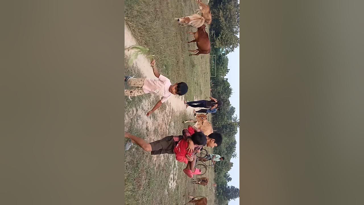 Gau Mata Video 😱lucky lokesh all video #trending #ytshorts #funny #viral #comedy - YouTube