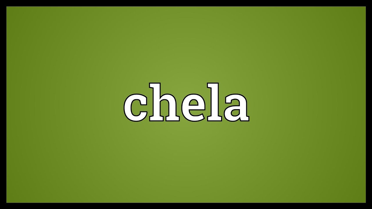 Chela Meaning - YouTube