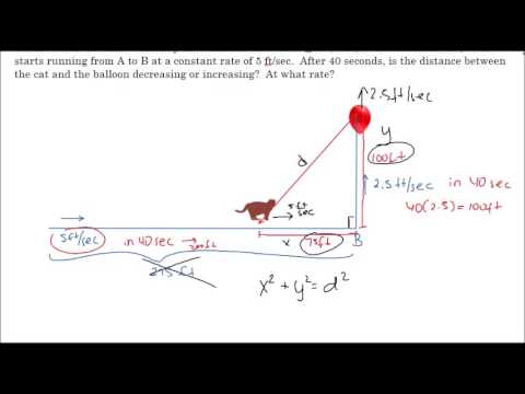 Triangle Related Rates - Cat and Balloon Problem - YouTube
