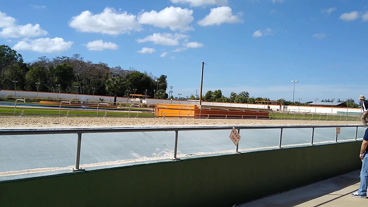 Naples Florida Dog Track - YouTube