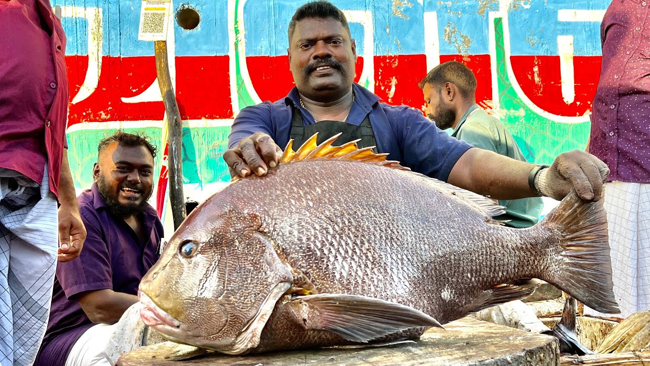KASIMEDU SPEED SELVAM KORALI FISH CUTTING 💥 IN KASIMEDU FISH CUTTING 💥 ...