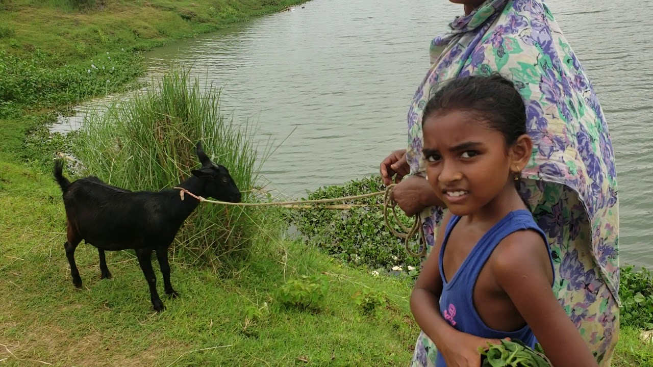 journey to purbancol city part _1 ( subscribe our channel ) - YouTube