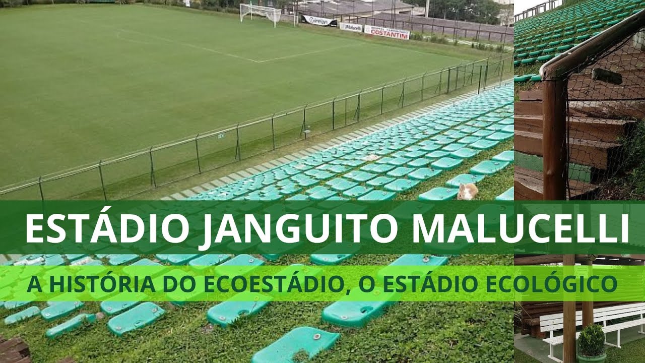 ECO ESTÁDIO: A história do estádio ecológico feito com materiais ...