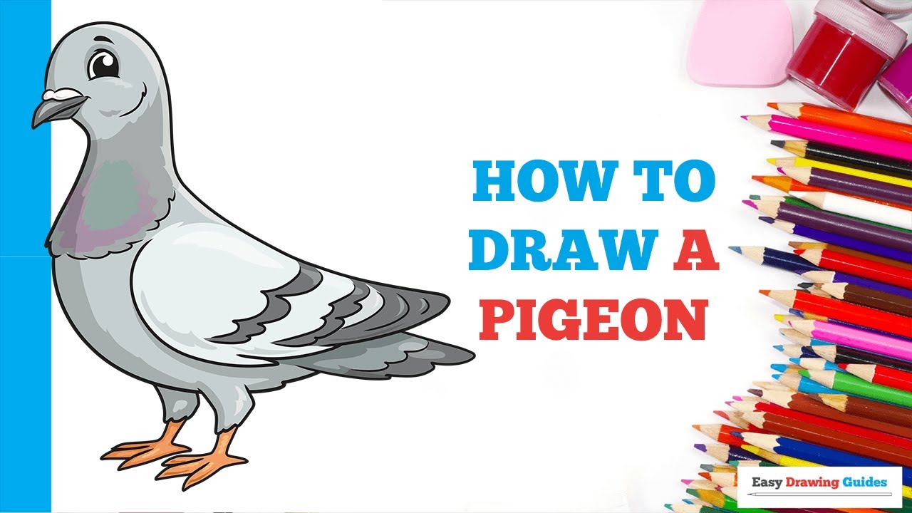 How to Draw a Pigeon in a Few Easy Steps: Drawing Tutorial for Beginner ...