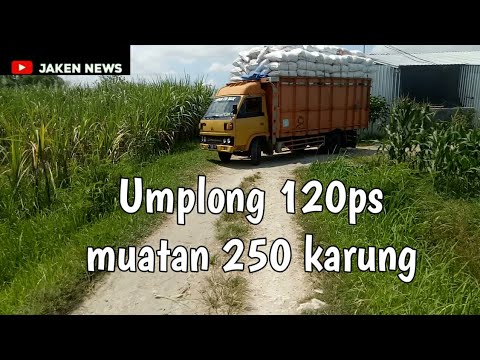 Truk umplong 120ps muatan 250 karung serasa elp - YouTube