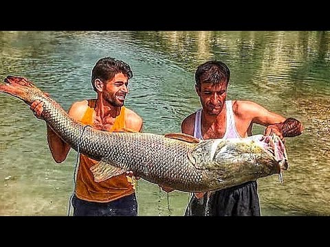 traditional fishing; Mahdi and Nima; Fishing heroes in a dangerous ...