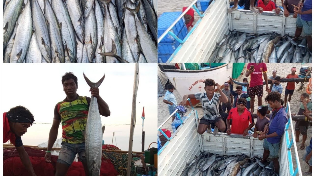 Goa colva Beach Fishing photos Short video 2021 - YouTube