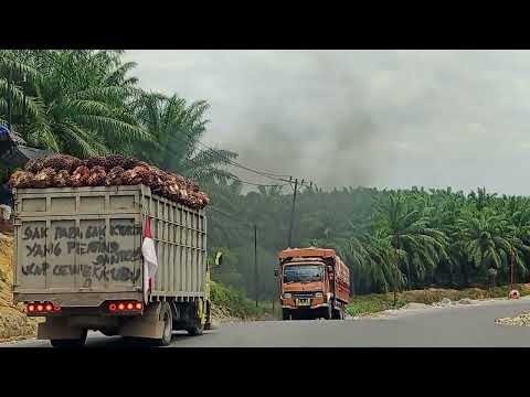 Asap hitam yang begitu tebal saat truk tronton nanjak di bukit kodok bosku