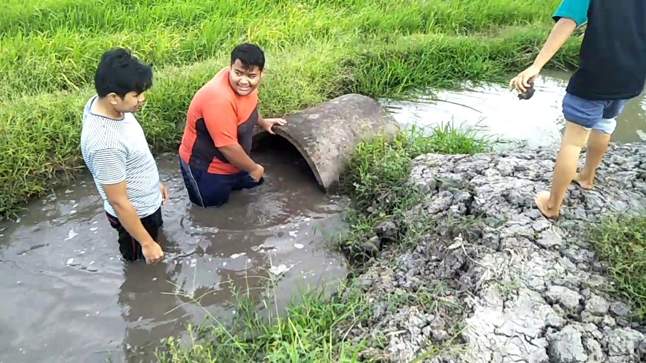 Cara nak halau ikan masuk dalam pukat - YouTube