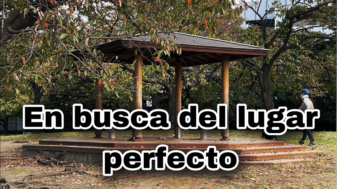 Buscando el lugar perfecto 🤩- preparativos - muy emocionada 🫣 - YouTube