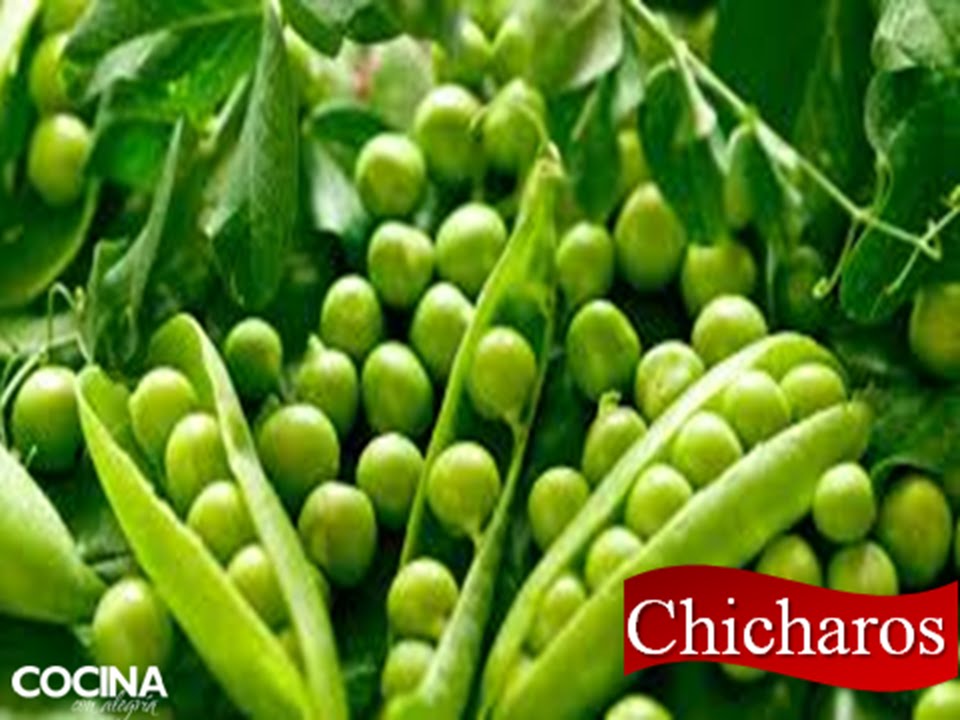 Cómo se conoce a los chicharos en LATAM - YouTube