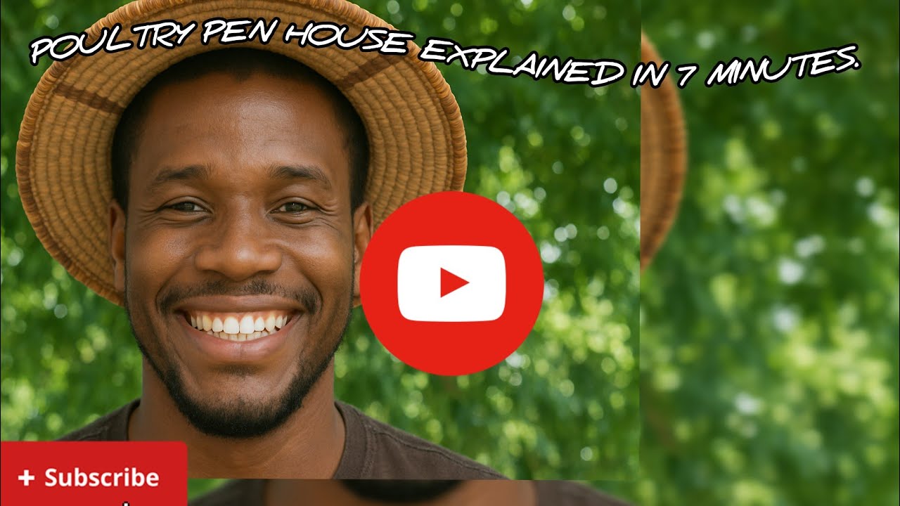 How I Built My Poultry Pen House | Full Tour & Setup - YouTube