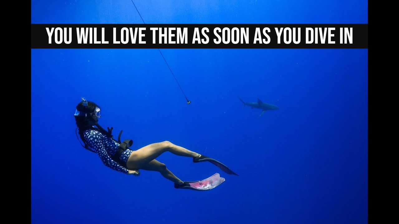 FREE DIVING with SHARKS with ONE OCEAN Diving | North Shore Oahu HAWAII ...