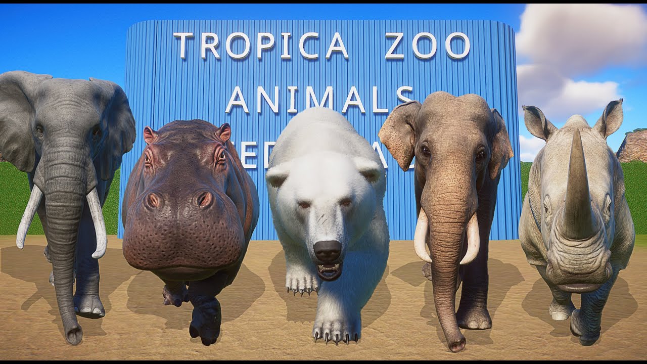 1000m Race Track With All Animals #1 in Planet Zoo included Bear ...