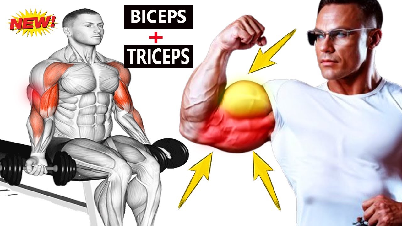 Elevate Your Arms : The Ultimate Workout for Powerful and Aesthetic ...