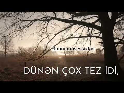 Whatsapp ve instagram üçün menali sevgi statuslari 2022