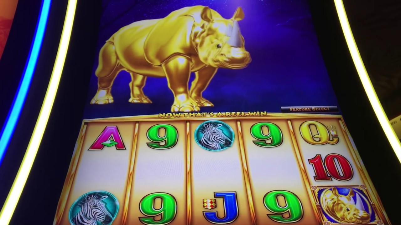 Rhino Slot Machine Jackpot