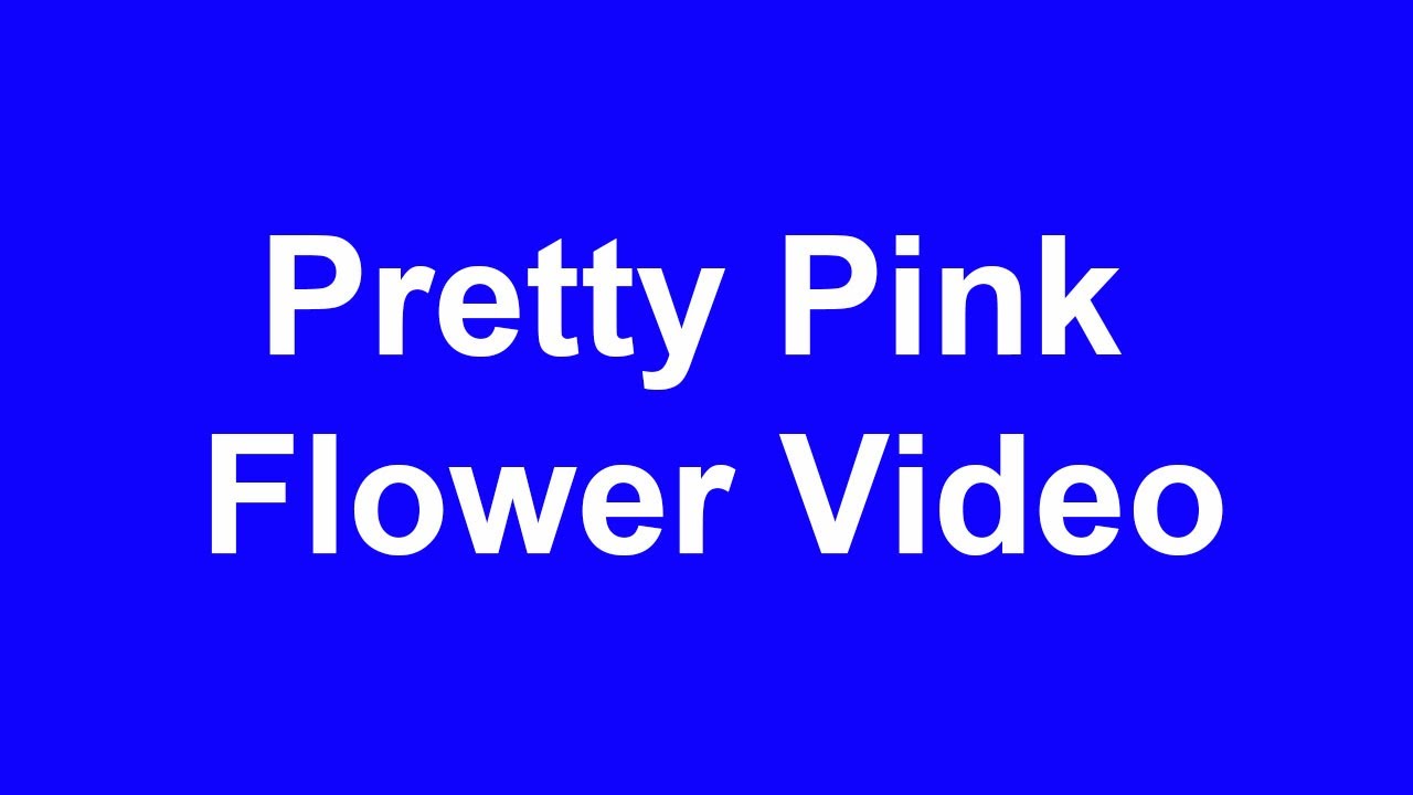 Green Screen Pretty Pink Flowers Video/Free Green Screen Video/Chroma ...