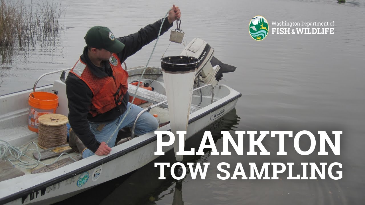 Plankton tow sampling | Quagga and zebra mussel monitoring sampling ...