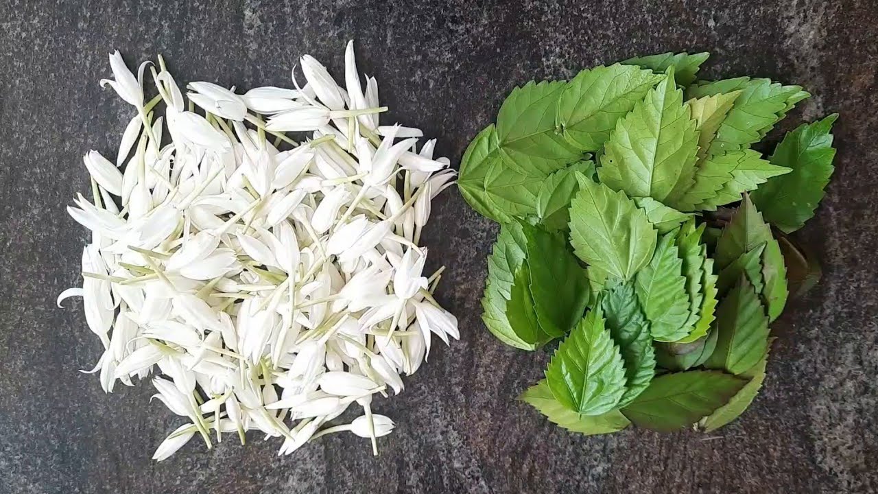Kakada Flower with Hibiscus Leaves Veni Making | Flower Garland - YouTube