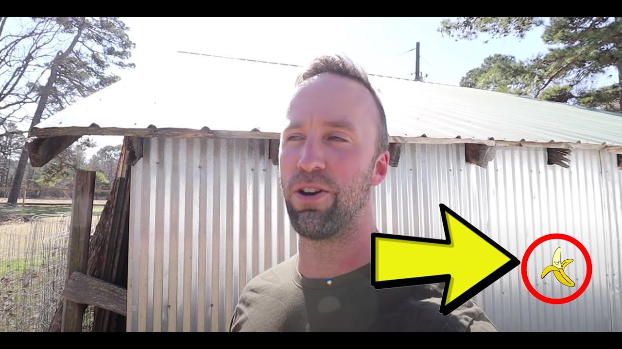 Here are Life Uncontained's 5 Best Builds of 2022 - YouTube