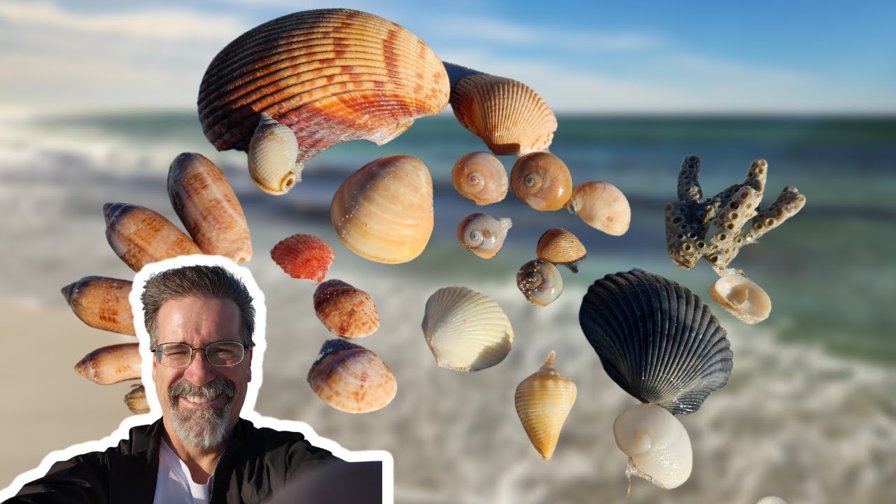 🌀IAN Panhandle SHELLING Update: Part II - YouTube