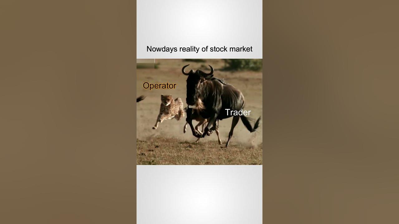 Trader Vs Operator #shorts #trader - YouTube