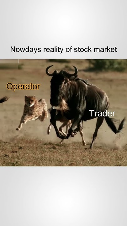Trader Vs Operator #shorts #trader - YouTube