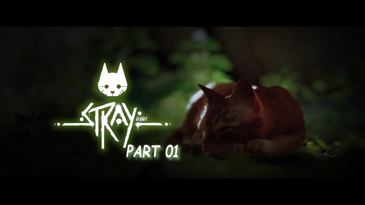 Stray Part 1 [1080p] PS5 - YouTube