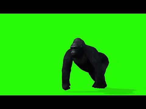 Green Screen King Kong