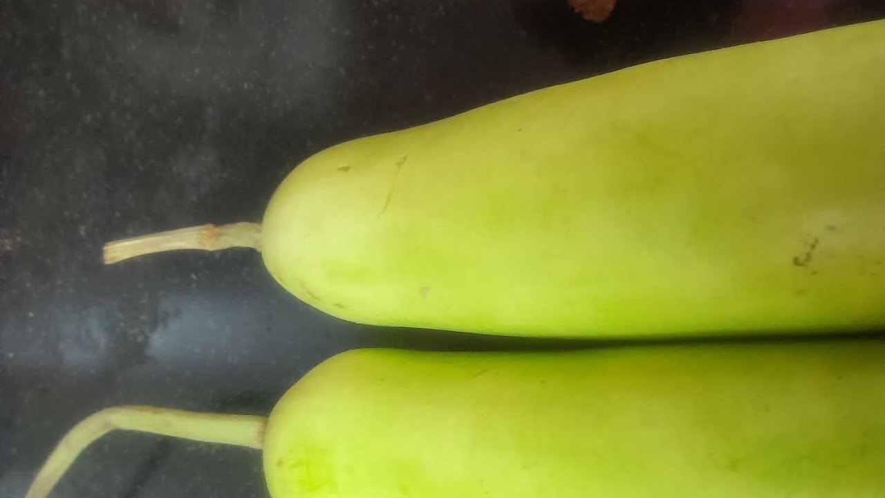 Sorakaya Medipi Talimpu#curry //Bottle Gourd Recipe/Anapakaya recipes 😋 ...