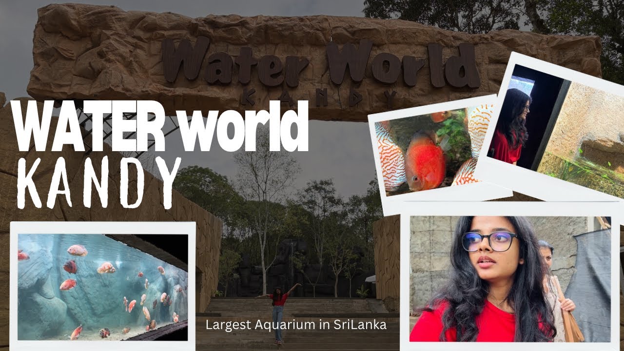 අපි නුවර තියෙන water world එක බලන්න ගියා🐠|ඊයේ open කරේ🫣|ලංකාවේ විශාලතම ...