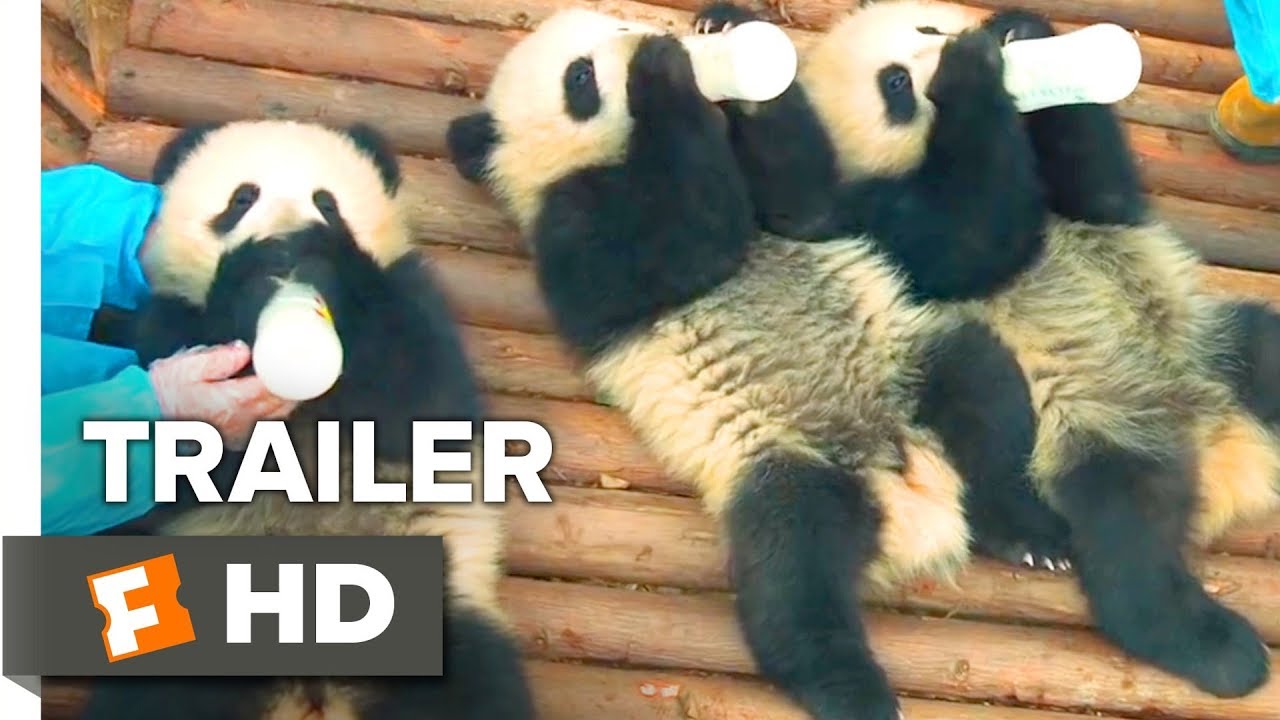 Pandas Trailer #1 (2018) | Movieclips Indie - YouTube