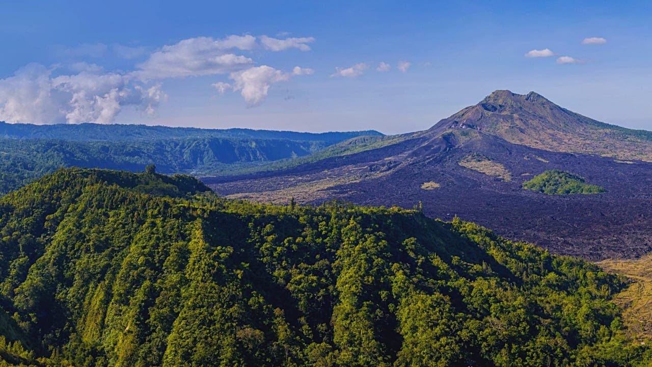 Koderma Jungle Vlog with my Friends|#Koderma|#Jungle|#Vlog - YouTube