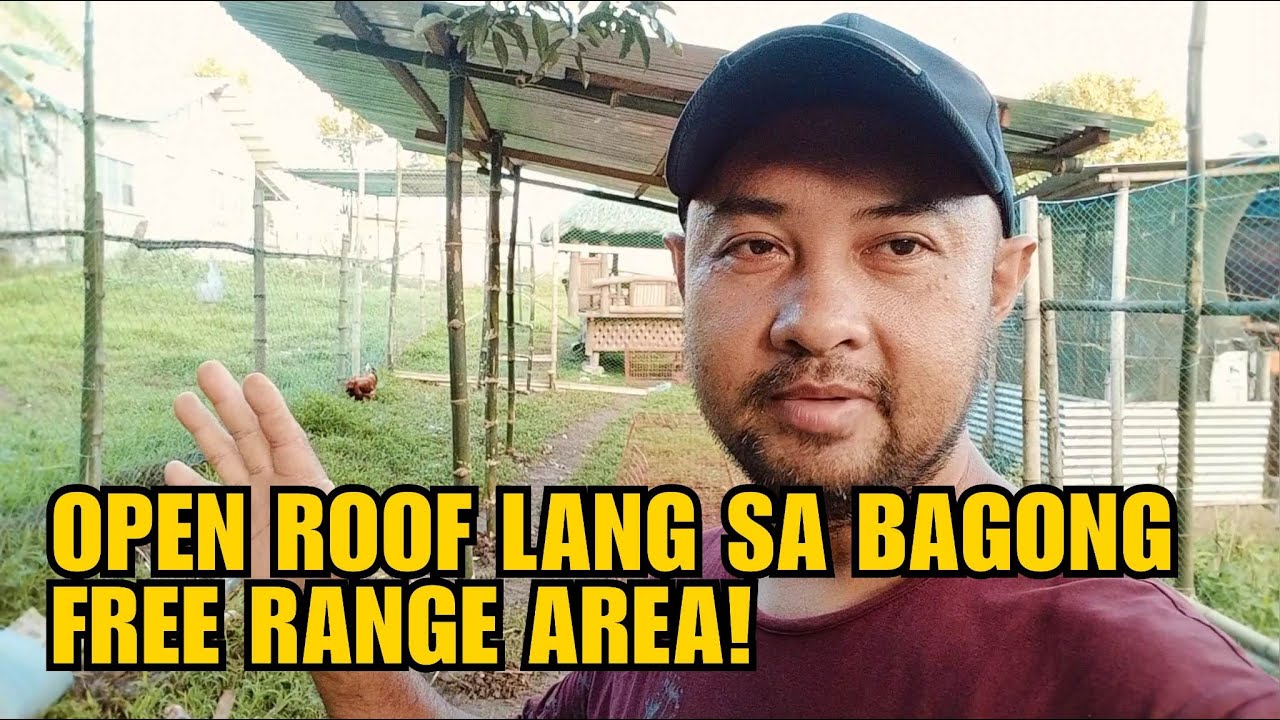 OPEN ROOF LANG SA BAGONG FREE RANGE AREA! - YouTube